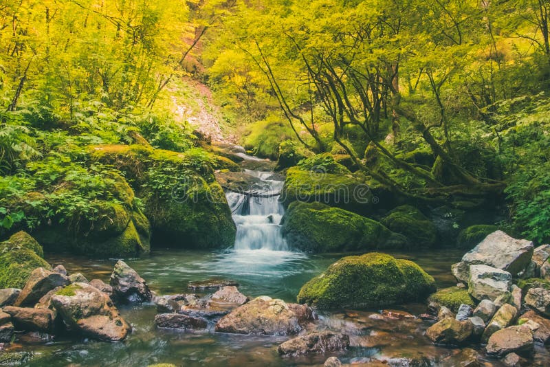 Quiet Waterfall stock photo. Image of water, cliff, hawaii - 1568832