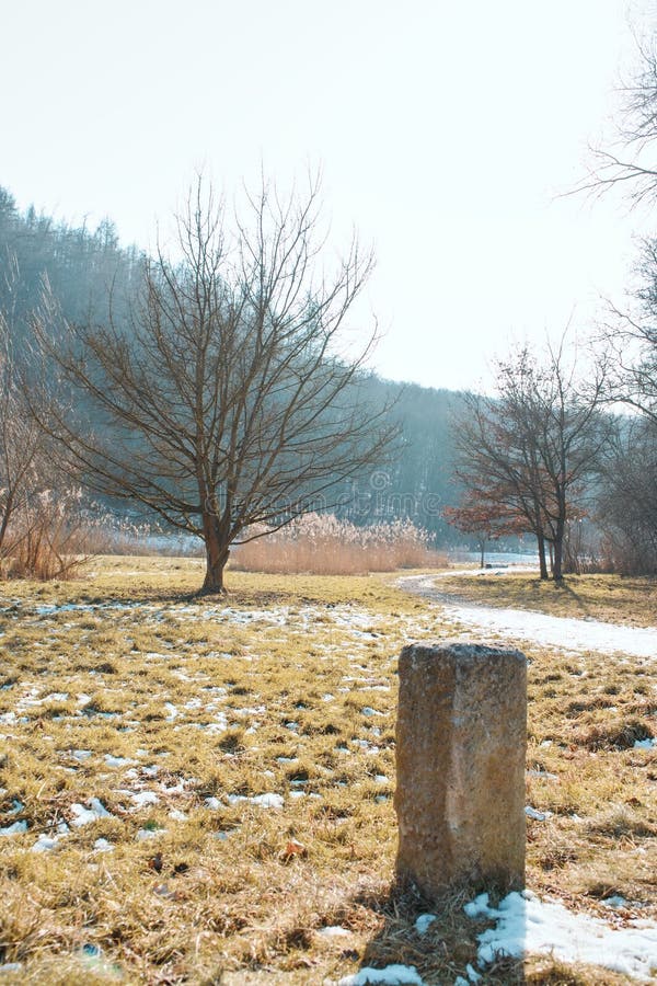 Bare Trees in Winter with a Stone Marker in the Foreground Stock Image ...