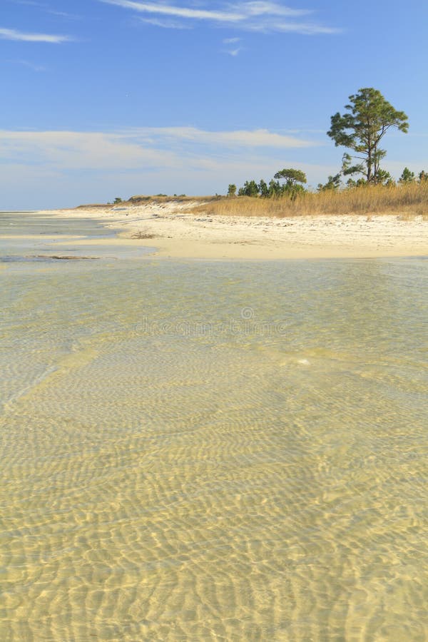 Quietwater Sandbar stock photo. Image of trees, sandbar - 17877180