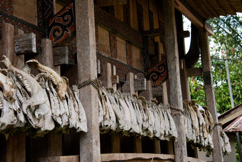 Quijadas Del Cerdo Que Adornan La Casa Imagen de archivo - Imagen de ...