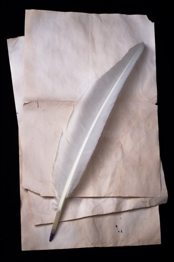White Quill Lying on the Floor Stock Photo - Image of white, quill ...