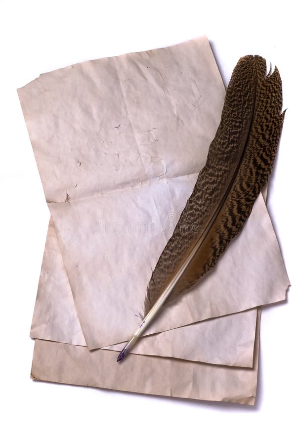Quill Picture. Image: 4922788