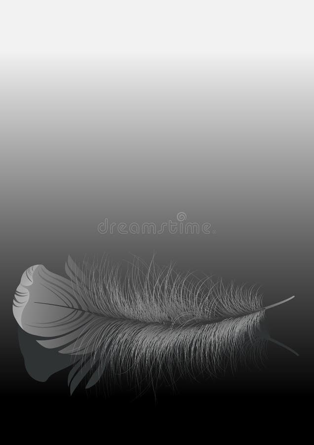 Quill ( fluffy feather) stock vector. Illustration of vector - 30292623