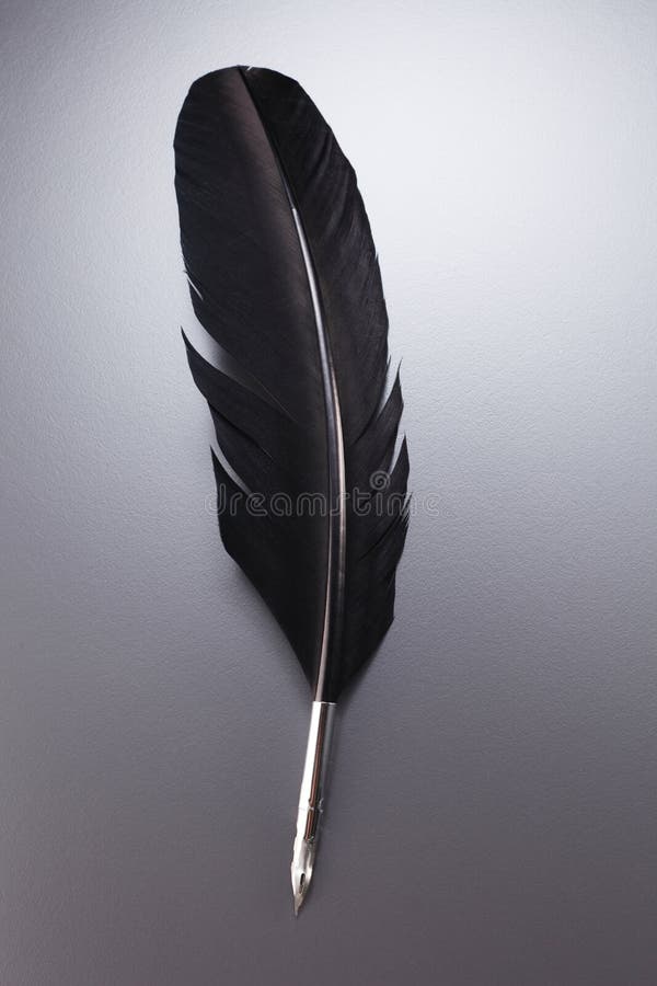 Quill pen stock image. Image of office, antique, supply - 48739033