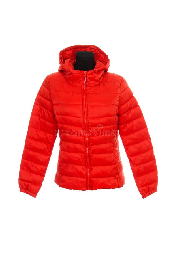 Quilted Jacket on a White Background Stock Image - Image of clothing ...