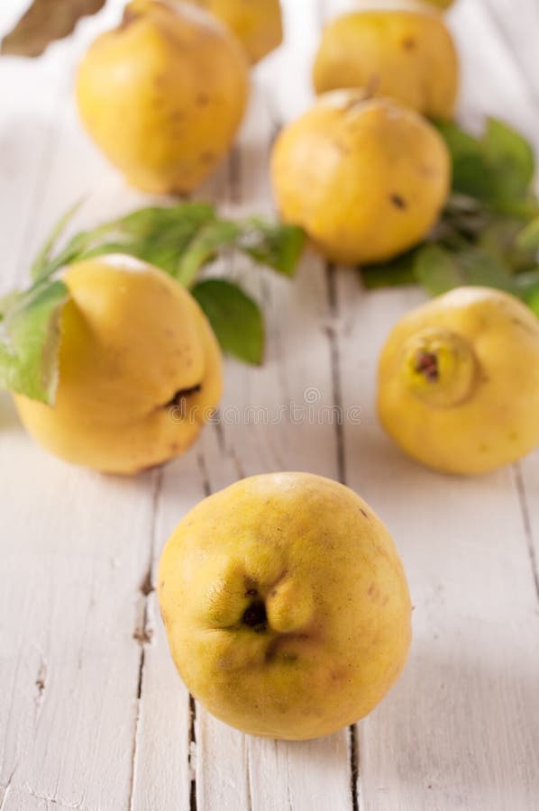Quince stock photo. Image of gastronomy, fruit, table - 27336564