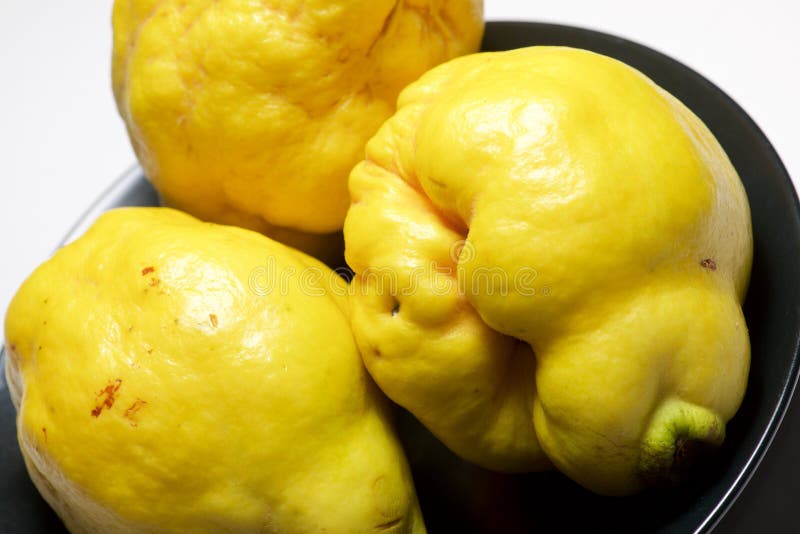Quince close up stock photo. Image of healthy, composition - 116258420