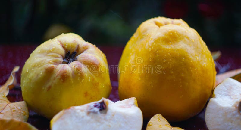 Quince Fruits are Cut into Pieces Stock Photo - Image of board, leaf ...