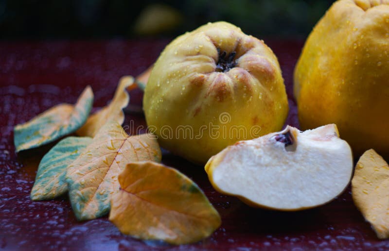 Quince Fruits are Cut into Pieces Stock Image - Image of studio ...
