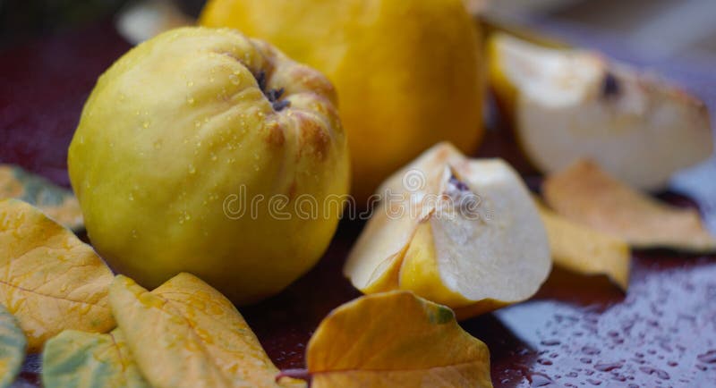 Quince Fruits are Cut into Pieces Stock Image - Image of food, eating ...