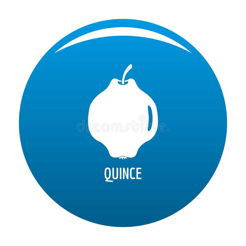 Quince Icon. Trendy Quince Logo Concept on White Background from Stock ...