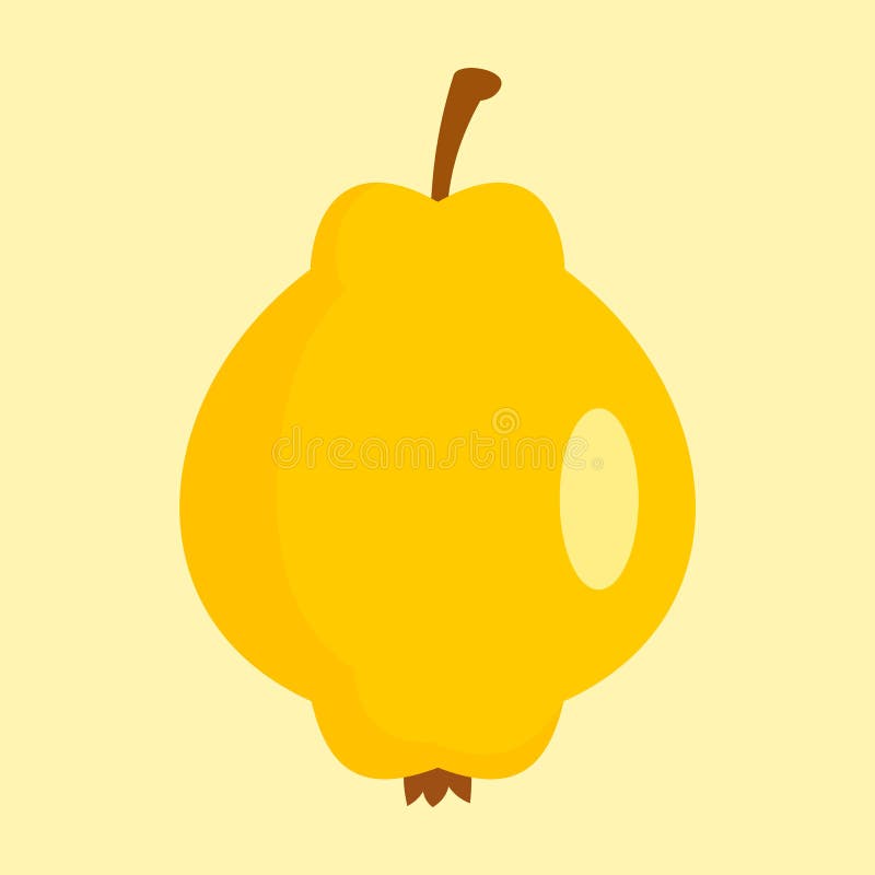 Quince icon, flat style stock vector. Illustration of golden - 127662976