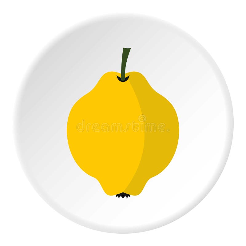 Quince Icon. Trendy Quince Logo Concept on White Background from Stock ...