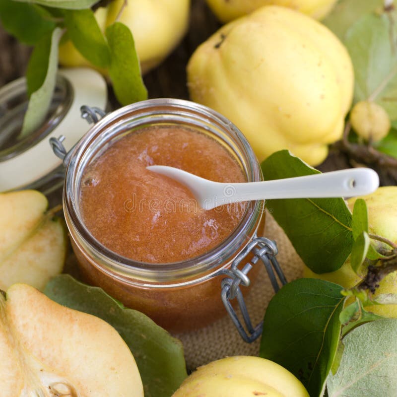 Quince jelly stock photo. Image of jelly, fruits, nutrition - 26809464