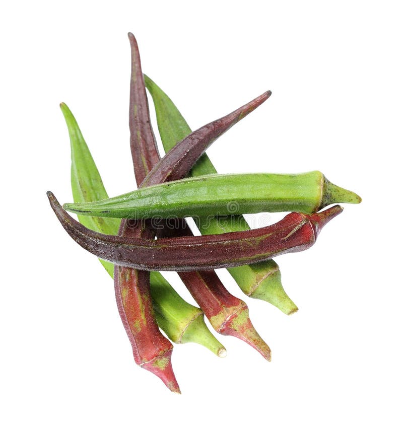 Quingombó entero foto de archivo. Imagen de recorte, travieso - 34997658