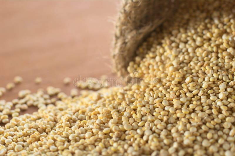 Graines Blanches De Quinoa - Chenopodium Quinoa Fond Blanc Photo stock ...