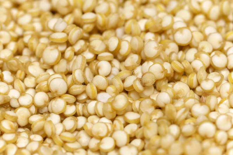 Quinoa Close-up Macro, Selective Focus. Food Cooking Texture Stock ...