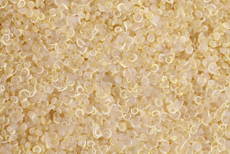 Quinoa cuit photo stock. Image du sain, nutrition, texture - 29401872