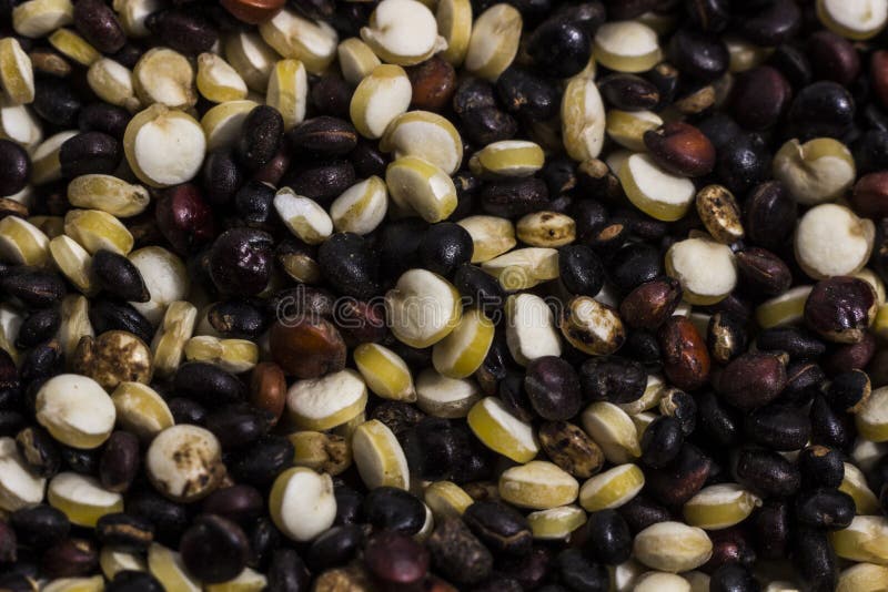 Macro Photography of Quinoa Grains Stock Image - Image of organic, food ...