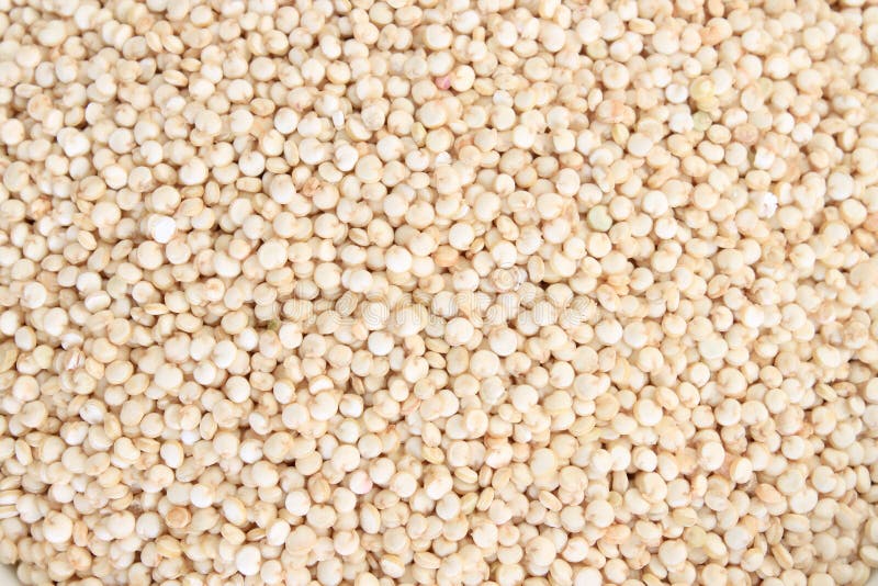 Quinoa grain stock photo. Image of vegetarian, grain - 26293540