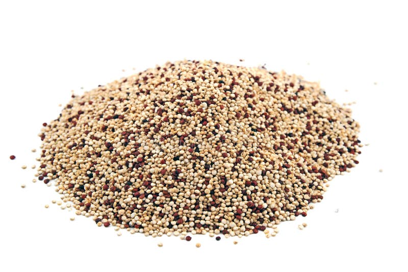 Quinoa Grain on a White Background Stock Photo - Image of background ...