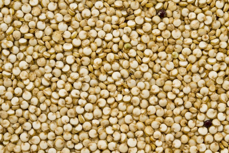 Quinoa organique image stock. Image du texturisé, sain - 29579671