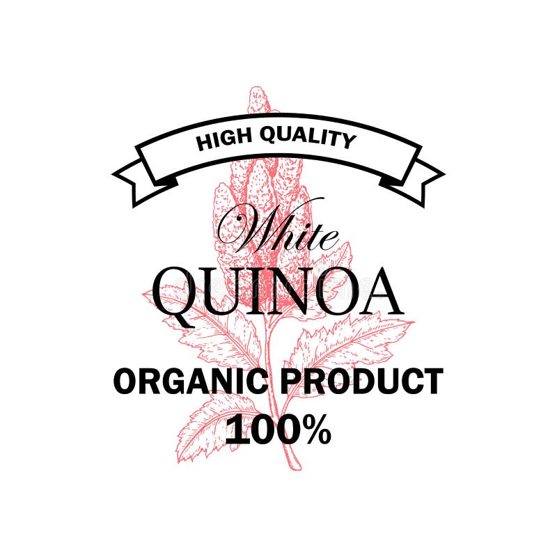 Quinoa Vintage Logo with Hand Drawn Element. Vector Illustration in ...