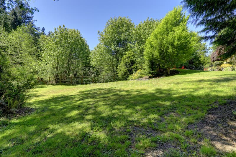 Quintal verde bonito foto de stock. Imagem de vista, verde - 39020796