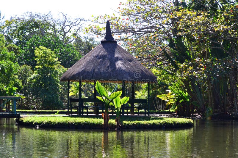 Quiosco foto de archivo. Imagen de hierbas, ramificaciones - 37953650