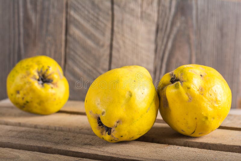 Quitte stockbild. Bild von nave, grün, bündel, leben - 79951593