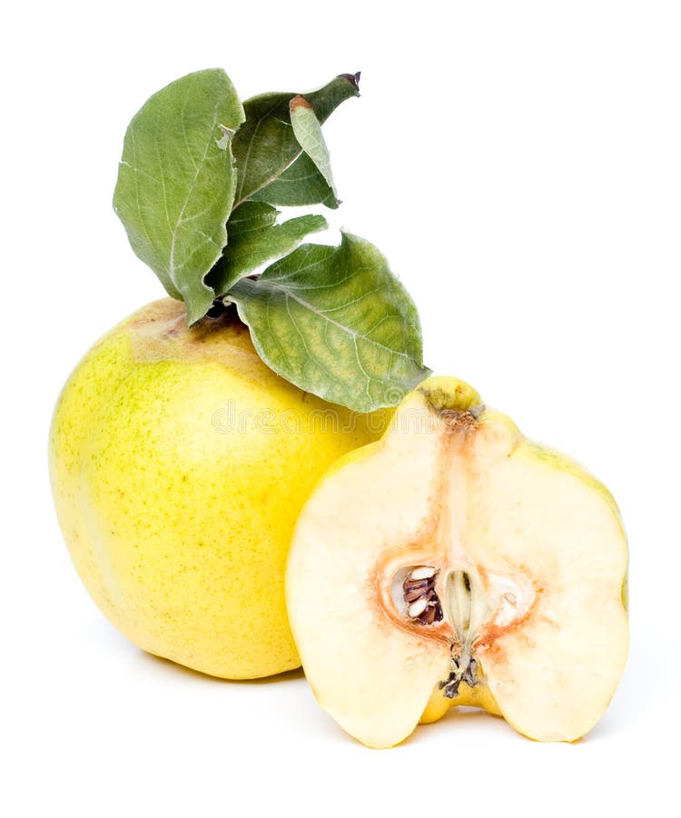 Quitte stockbild. Bild von frisch, blätter, quitte, frucht - 9374631
