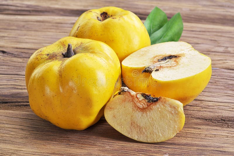 Alte Quitte stockbild. Bild von quitte, gesund, herbst - 12331289