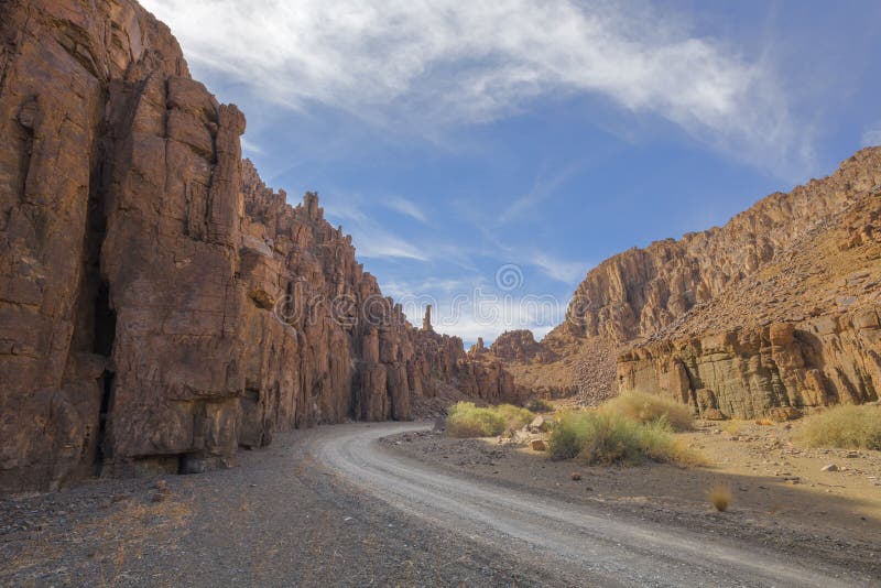 Quiver Tree Eco Route stock image. Image of landscape - 81274655