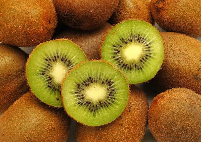 Quivi imagem de stock. Imagem de brinquedos, pele, zealand - 6897