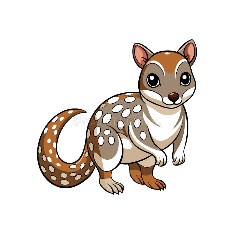 Quoll Coloring Page for Kids Stock Photo - Illustration of drawn ...