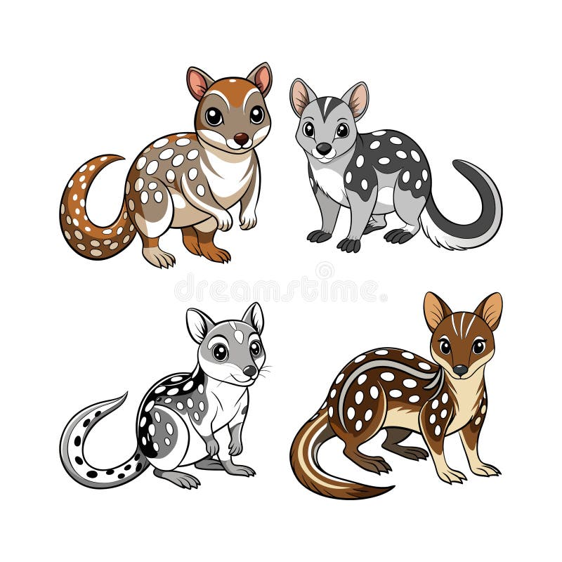 Quoll Coloring Page for Kids Stock Vector - Illustration of drawn ...