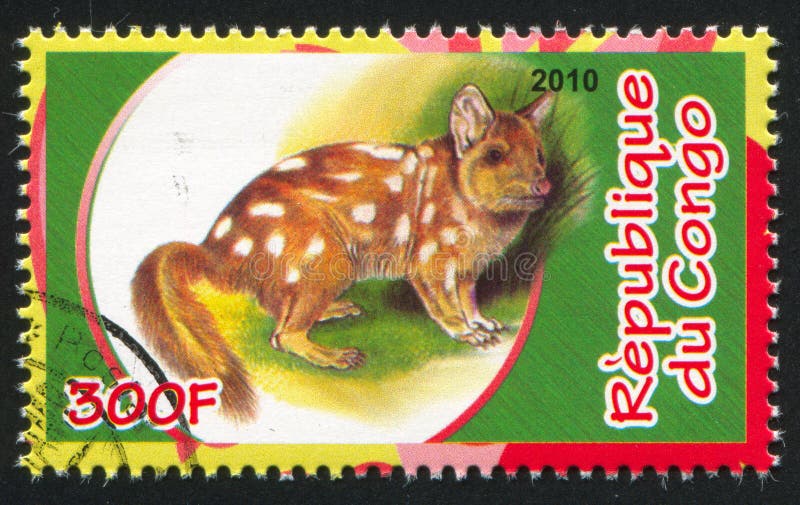 Quoll printed by Congo editorial stock photo. Image of message - 320353703