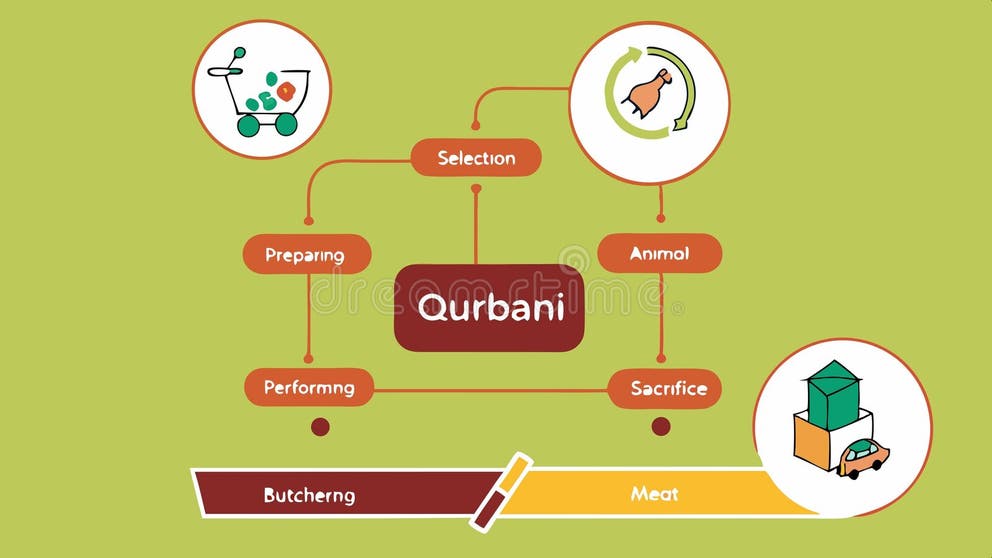 Qurbani Process Infographic, Eid Al,Adha Guide Vector Design Generative ...