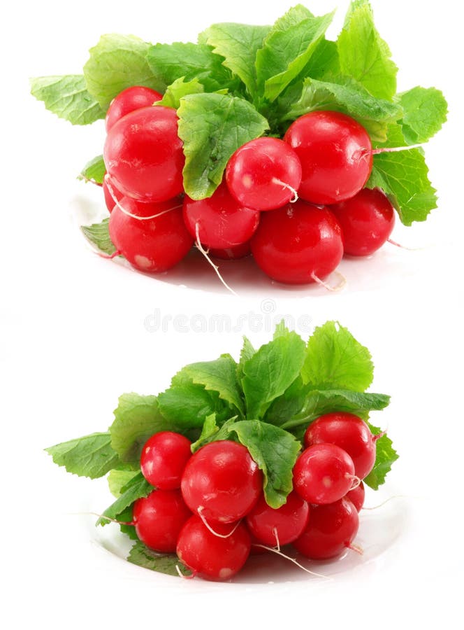 Rábano - aislado imagen de archivo. Imagen de chile, comer - 4335043