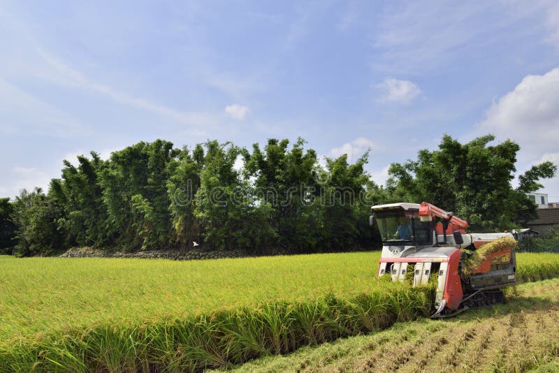 Récolte de riz image stock éditorial. Image du machine - 98412799