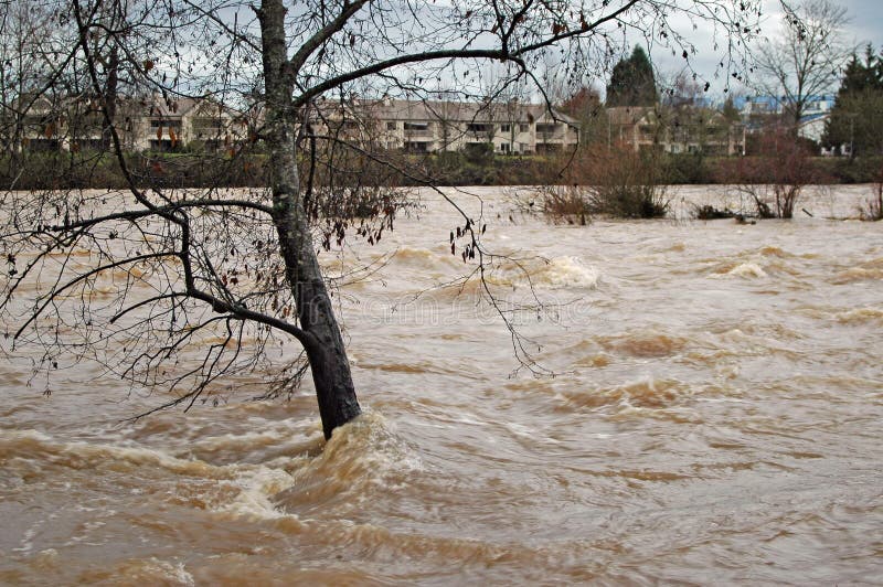 Río de la inundación foto de archivo. Imagen de fluir, fango - 425194