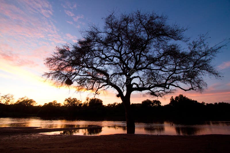 Río de Limpopo imagen de archivo. Imagen de ramificaciones - 23147087