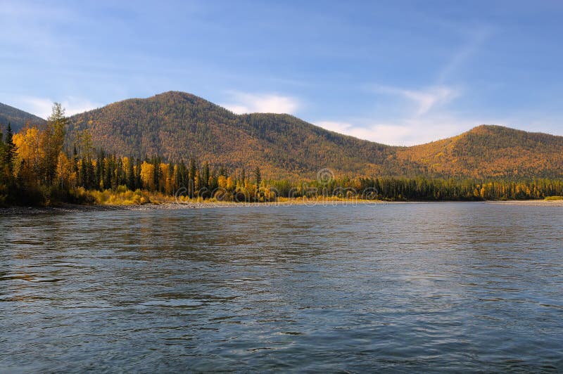Paisaje De Taiga En El Pequeño Lago Imagen de archivo - Imagen de azul ...
