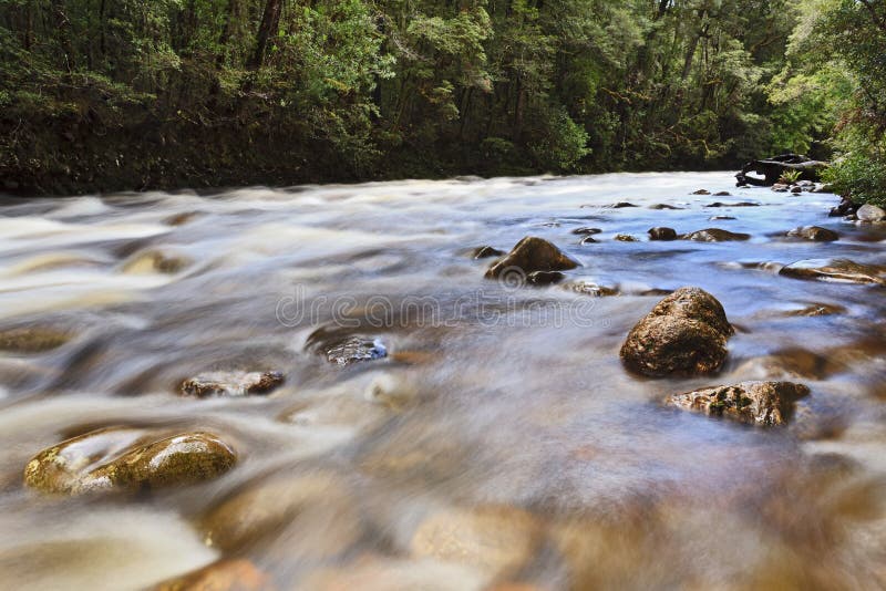 Río de Tasmania Watersmeet foto de archivo. Imagen de ambiental - 45850344