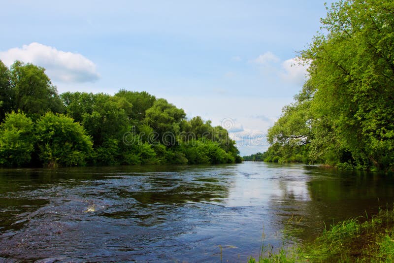Río en bosque imagen de archivo. Imagen de nadie, exterior - 17755177