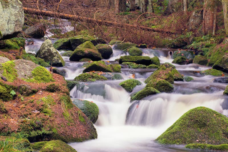 Río en campo foto de archivo. Imagen de primer, agua - 11748892