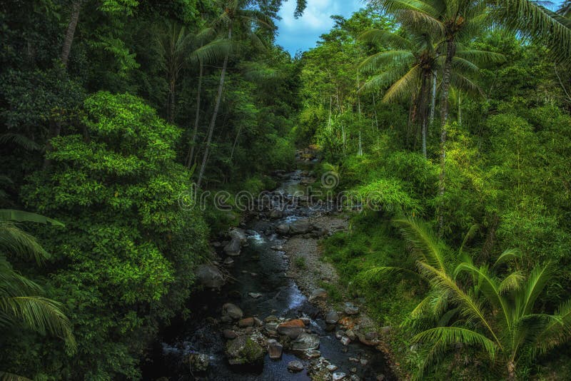 Río en la selva de Java imagen de archivo. Imagen de cala - 65230381