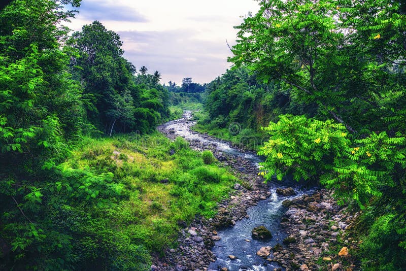 Río en la selva de Java foto de archivo. Imagen de parque - 67275076