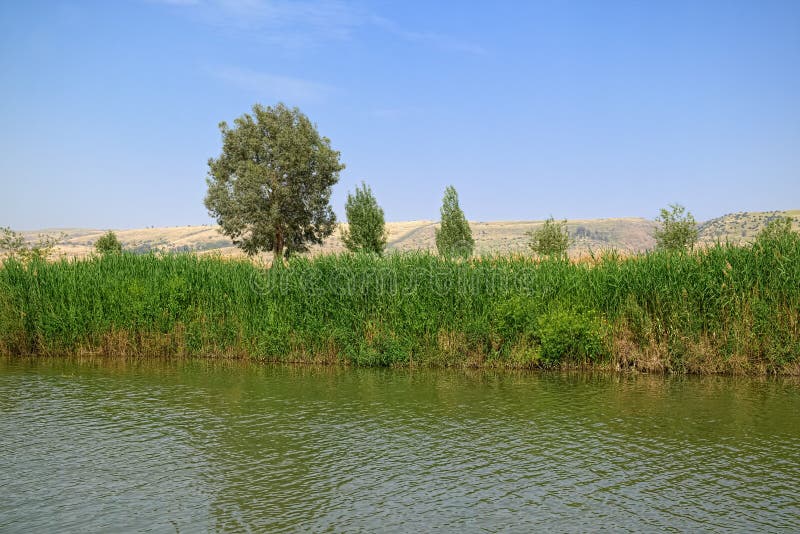 Río Jordán - Israel imagen de archivo. Imagen de alturas - 6592179