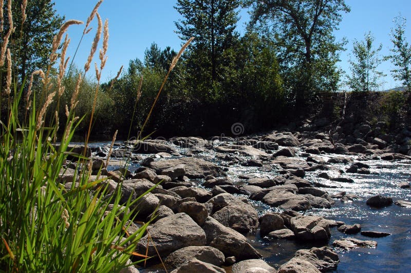 Río Que Se Ejecuta Sobre Rocas Imagen de archivo - Imagen de agua ...